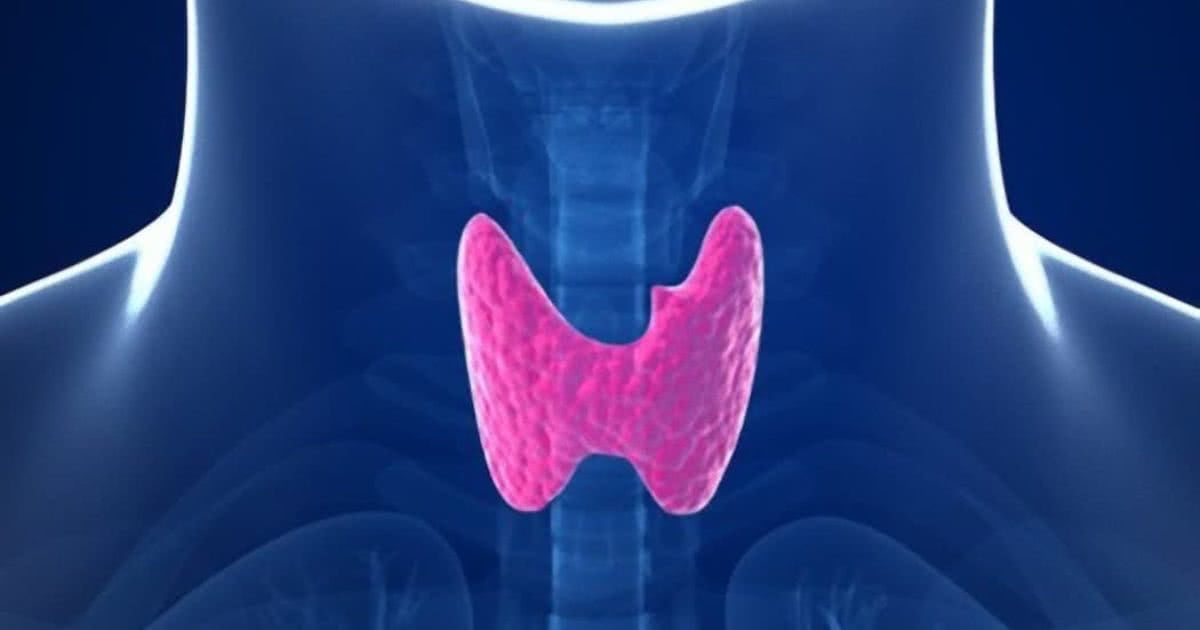 Saiba mais sobre o Dia Internacional da Tireoide e a importância da ...